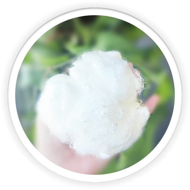 Splittable PSF Polyester Staple Fiber